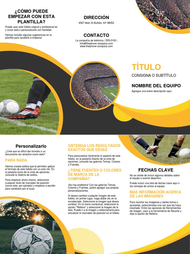 Tríptico Ejemplo | PDF | Informática | Software