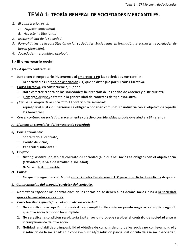 Esquema T1 | PDF | Sociedad de responsabilidad limitada | Sociedad General