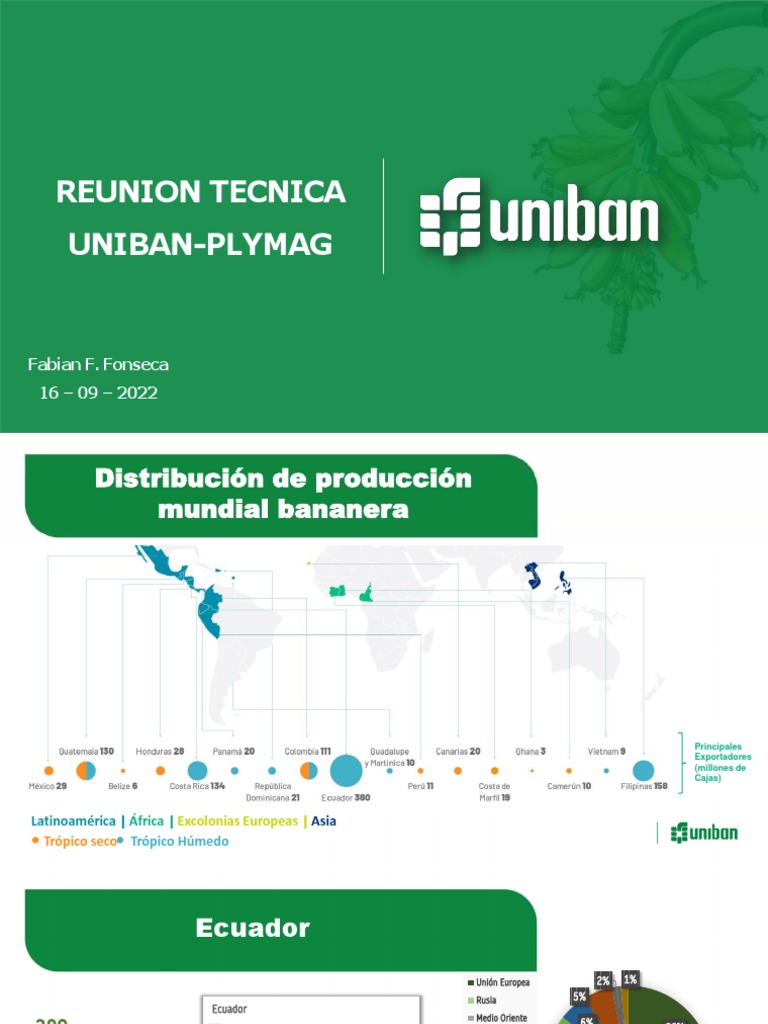 UNIBAn Estado Actual | PDF