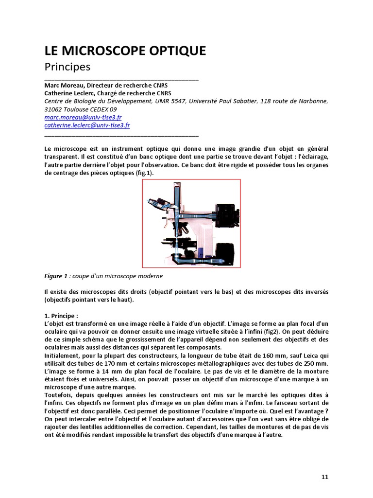 Microscope optique : principes et résolution | PDF | Objectif ...
