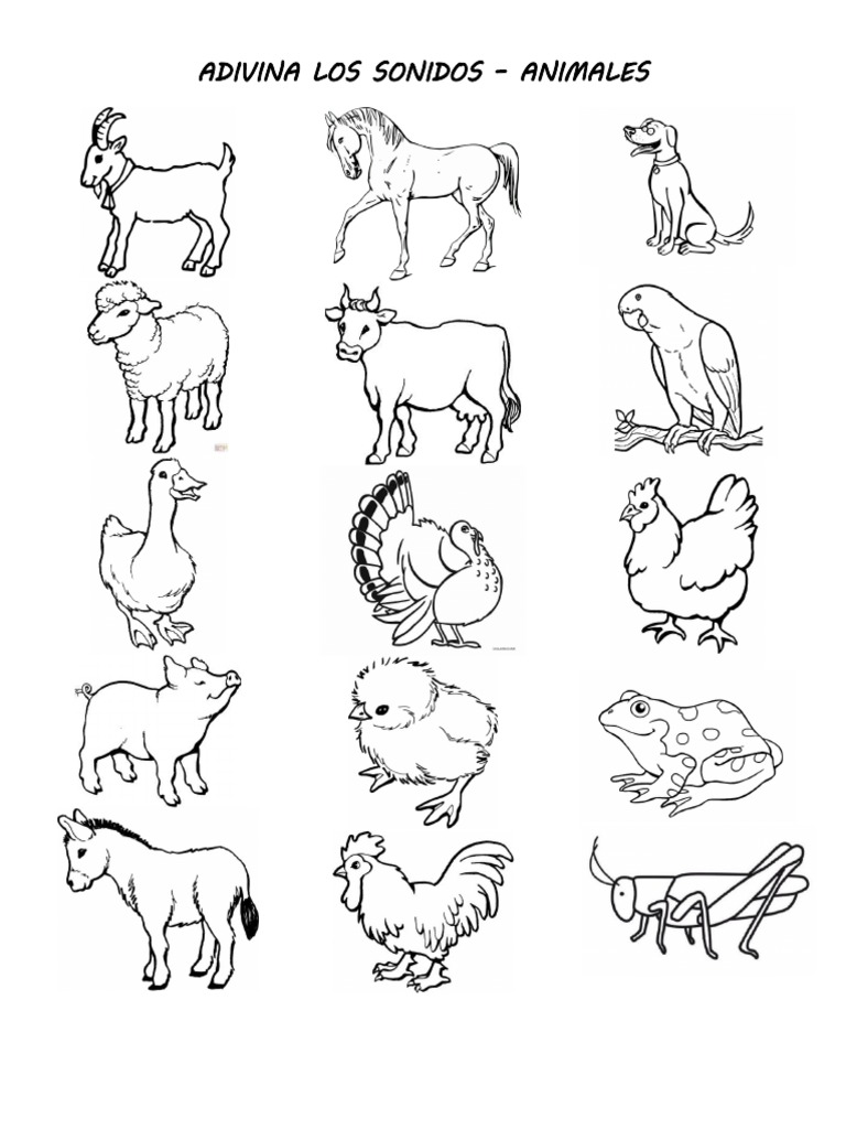 Adivina Los Sonidos - Animales | PDF