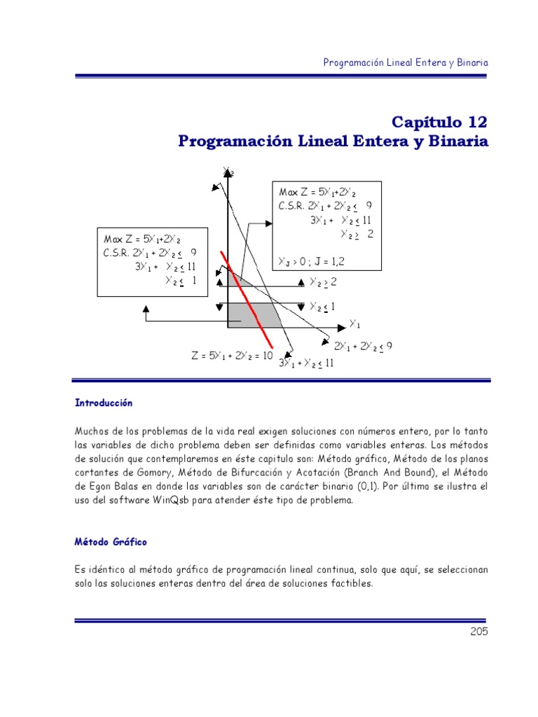 Programacion Lineal Entera y Binaria 205 | PDF | Programación lineal ...