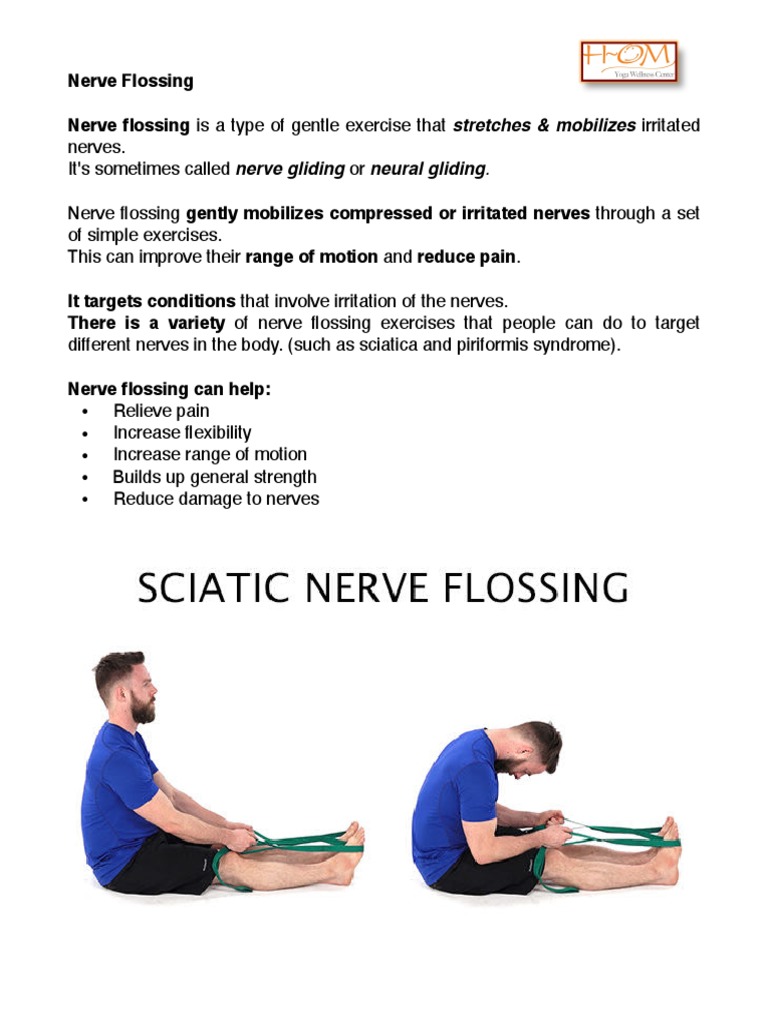 ) Nerve Flossing | PDF | Anatomical Terms Of Motion | Human Anatomy