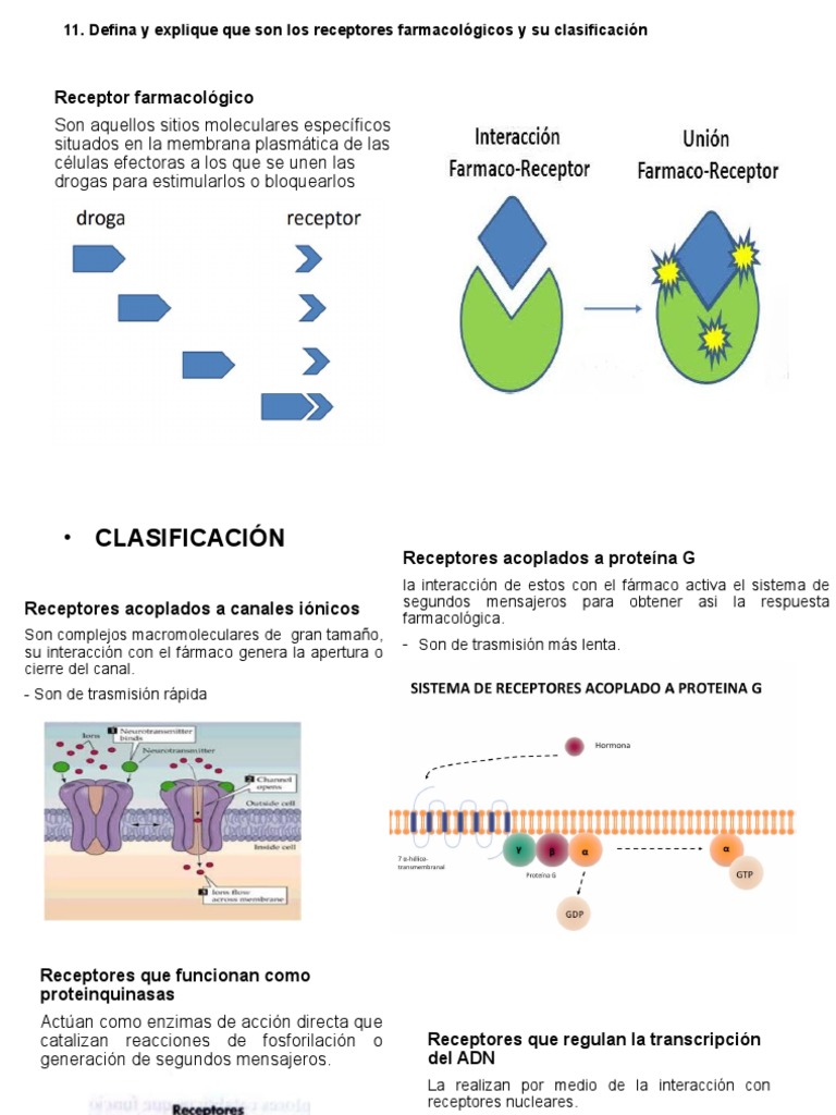 Receptores Farmacológicos | PDF