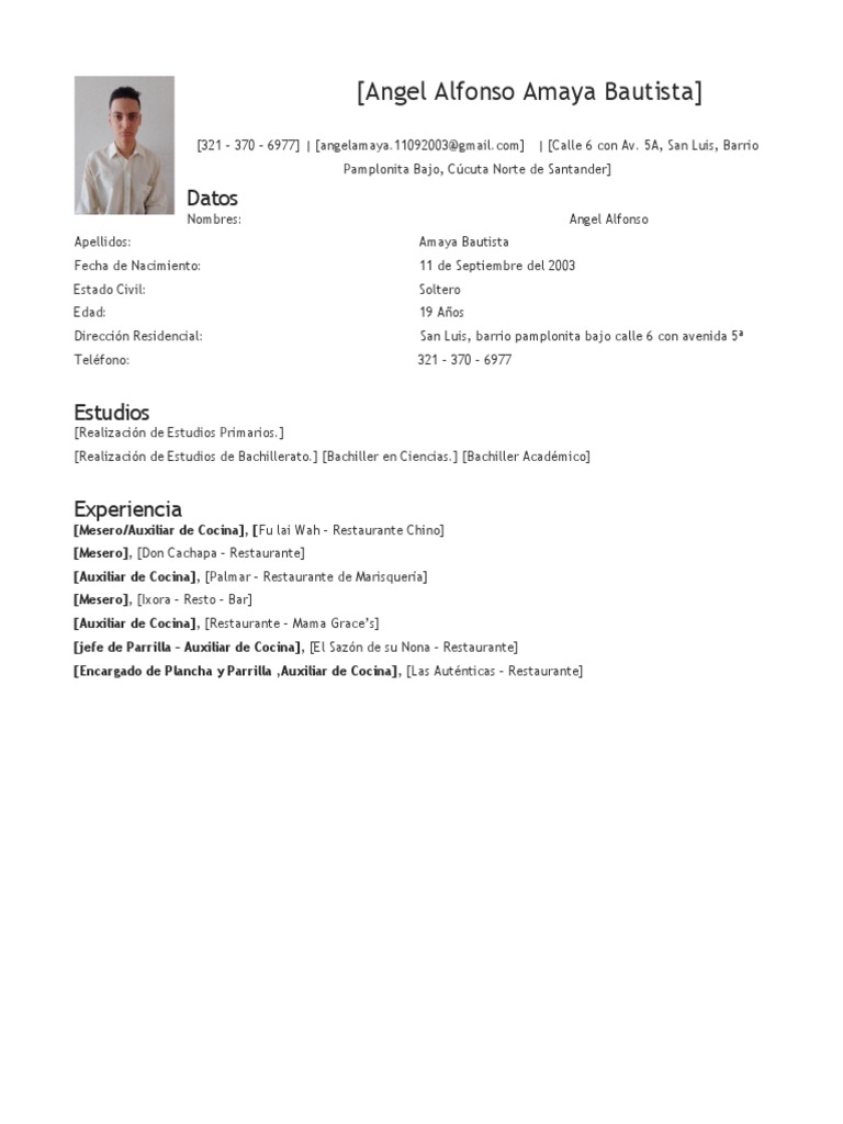 Curriculum Angel 2023 2 | PDF