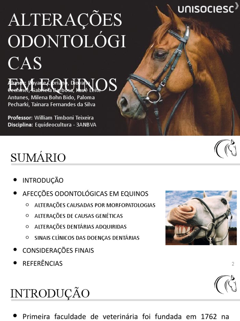 Odonto Equina 2.0 | PDF
