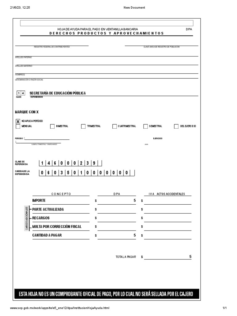 FORMATO E5cinco | PDF