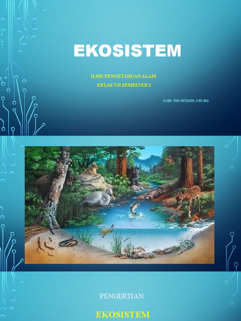 Eko Sistem | PDF