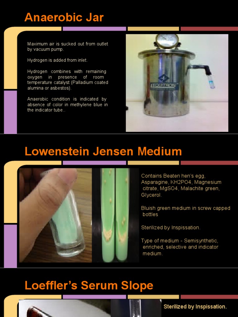 Microbiology Culture Media Guide | PDF | Growth Medium | Bacteria