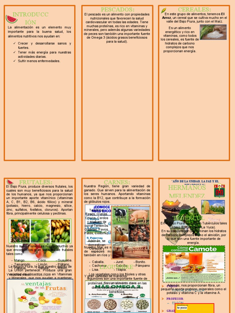 Triptico de Los Alimentos | PDF | Alimentos | Nutrición