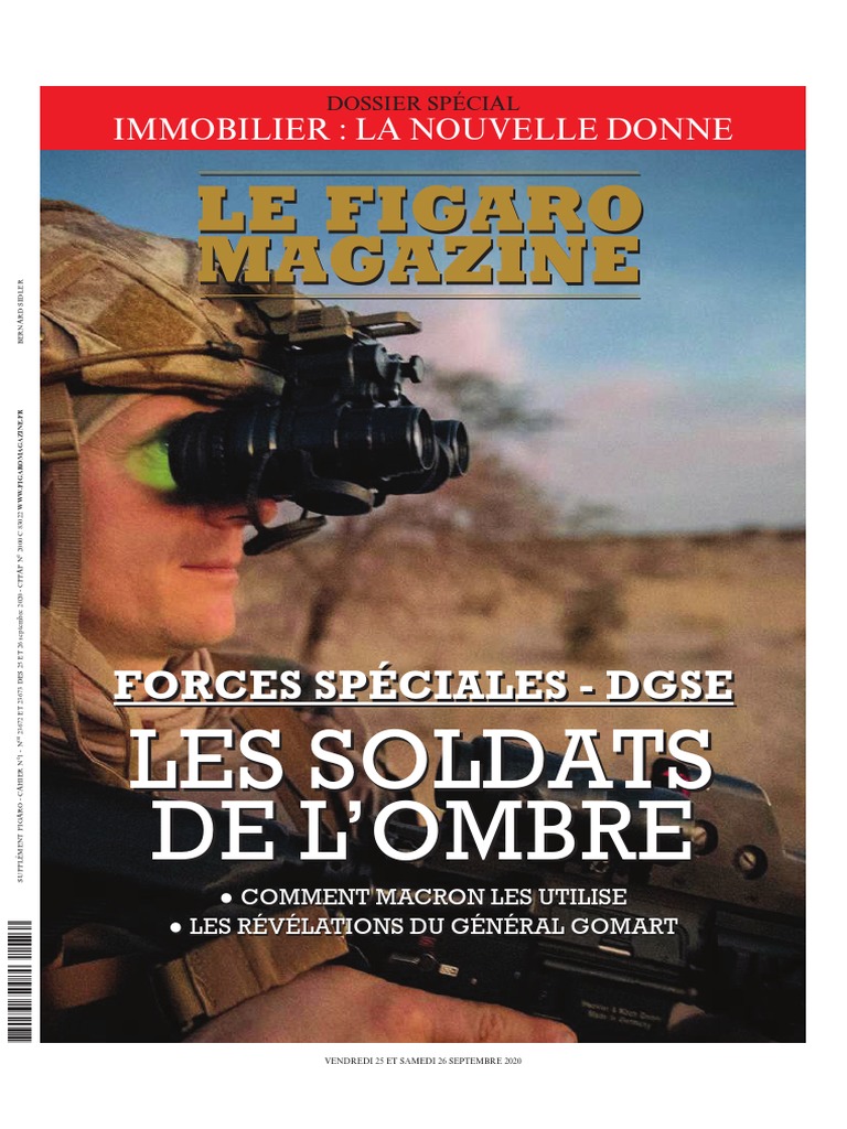 Forces Speciales Dgse | PDF