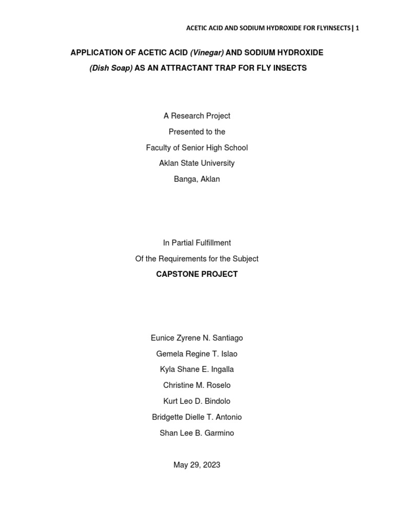 Capstone Research Paper - Group 1 | PDF | Art