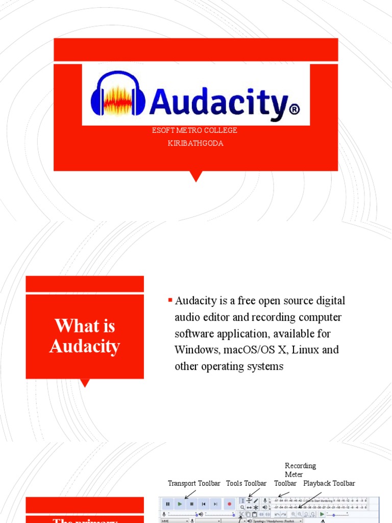 Audacity | PDF | Computer File | Computer Engineering