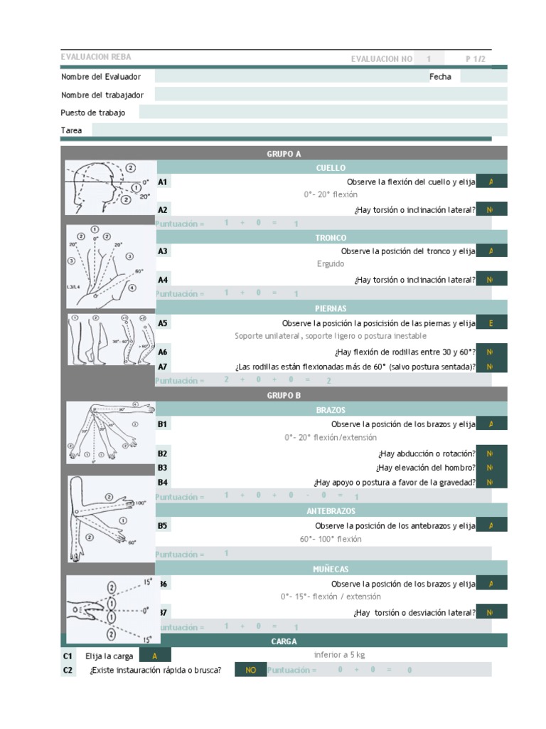 Método REBA (Rapid Entire Body Assessment) | PDF