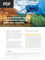 Butler Neural Mobilization | PDF | Nervous System | Nerve