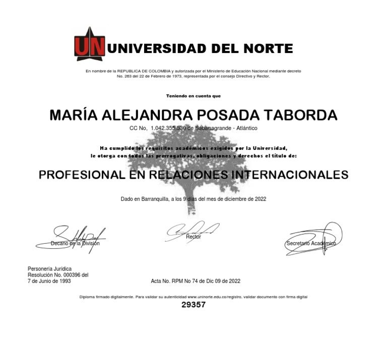 Título Profesional en Relaciones Internacionales | PDF
