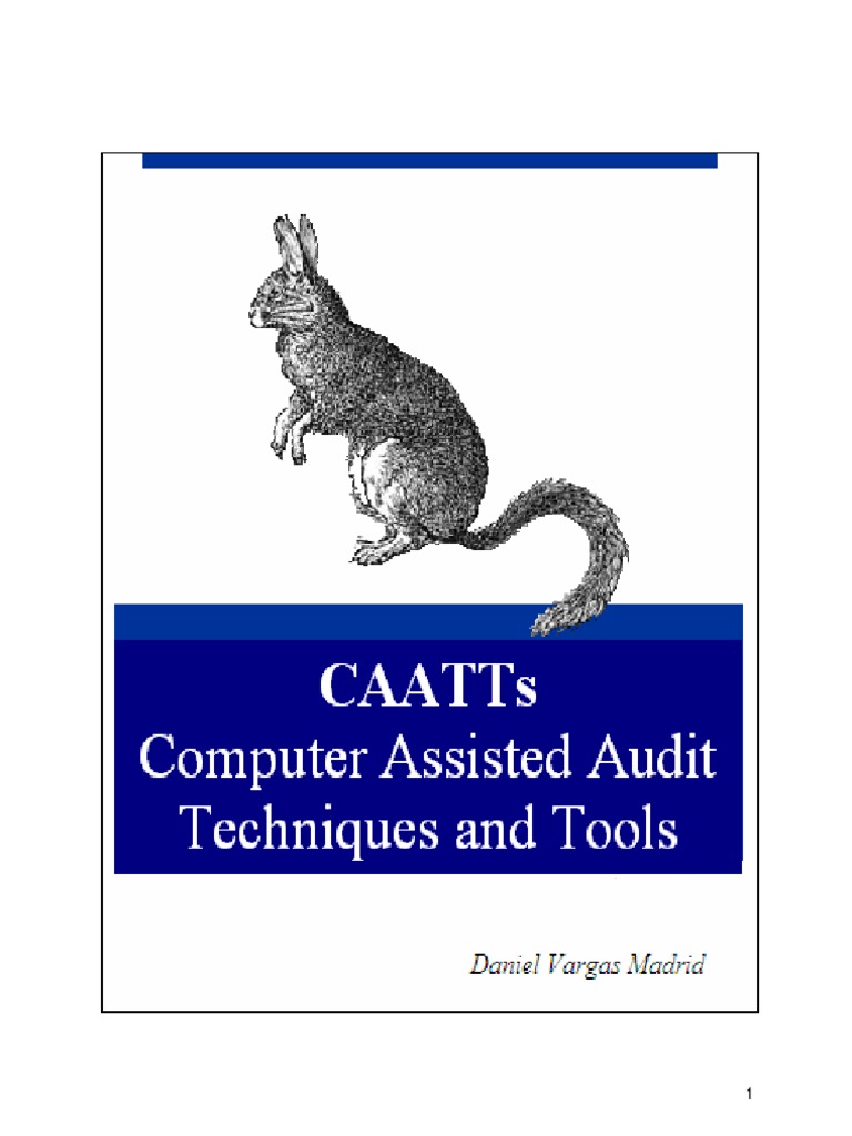 Computer Assisted Audit Techniques Tools | PDF | Apoyo | Archivo de computadora