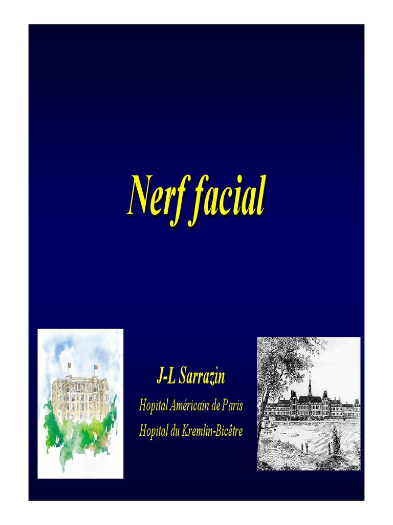 Anatomie et pathologies du nerf facial | PDF | Anatomie humaine ...