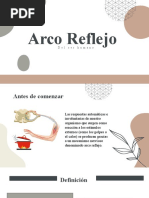 Esquema Arco Reflejo | PDF