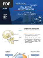 Netter - Anatomía de Cabeza y Cuello para Odontólogos, 3rd Edition Full ...