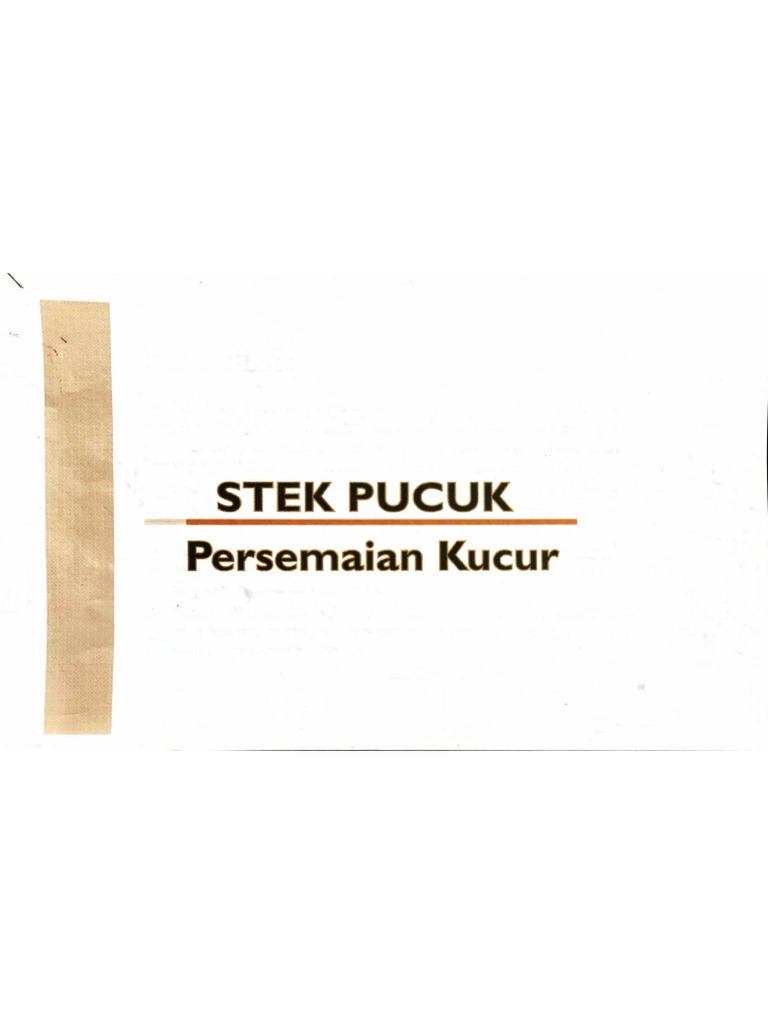 STEK PUCUK (Persemaian Kucur) | PDF