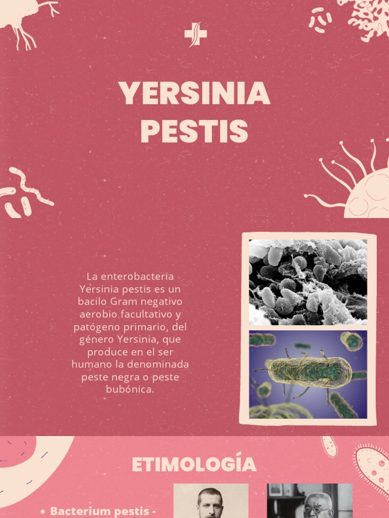 Yersinia Pestis | PDF