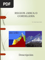 Relieves de La Selva Alta | PDF