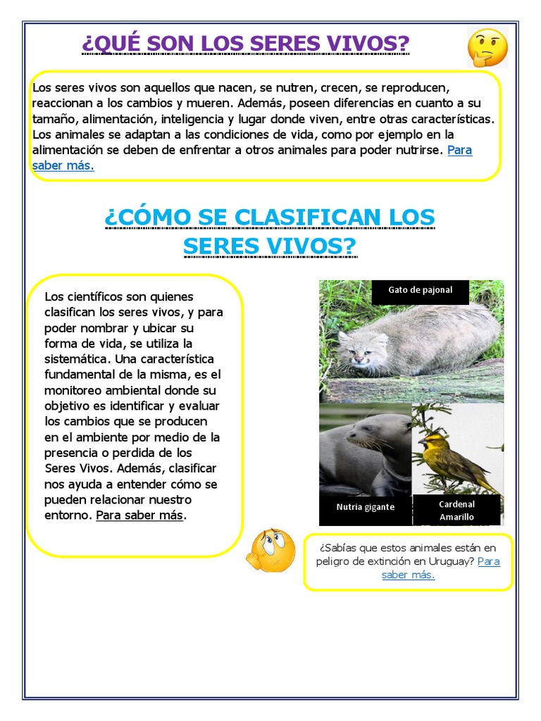 Que Son Los Seres Vivos | PDF