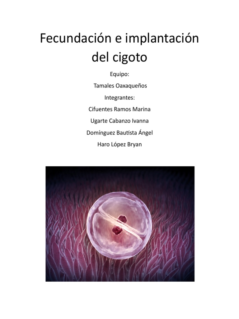 Fecundación e Implantación Del Cigoto | PDF | Placenta | Embrión
