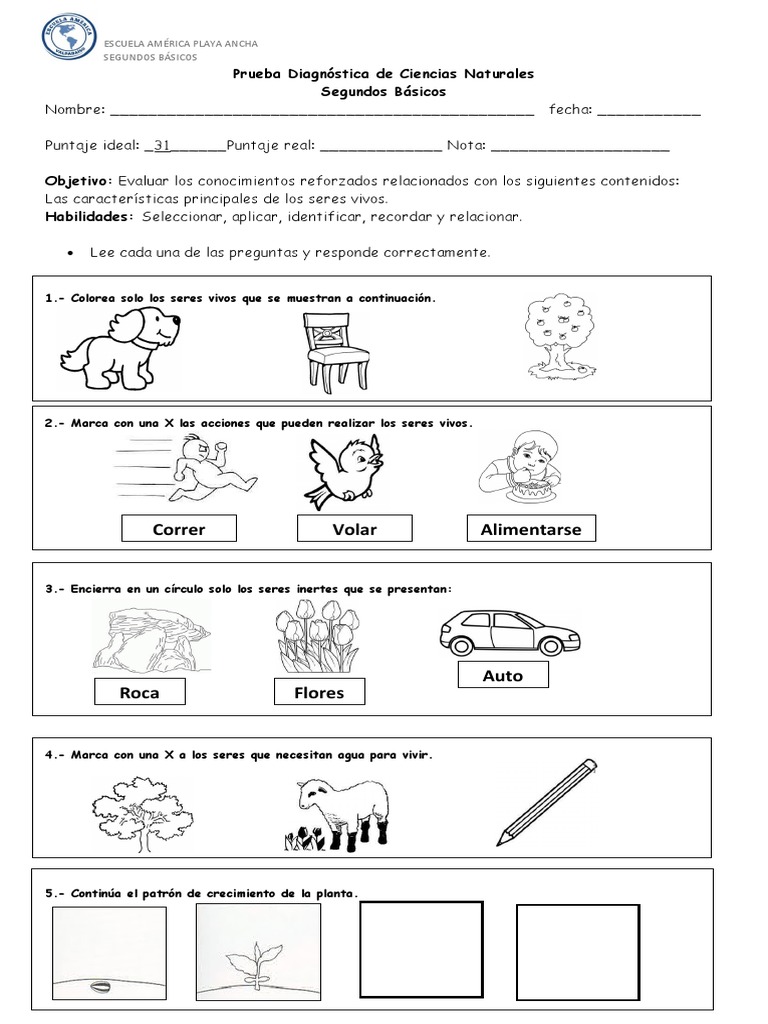 Prueba Diagnóstica Ciencias Naturales 2º Básico | PDF | Ciencia y ...