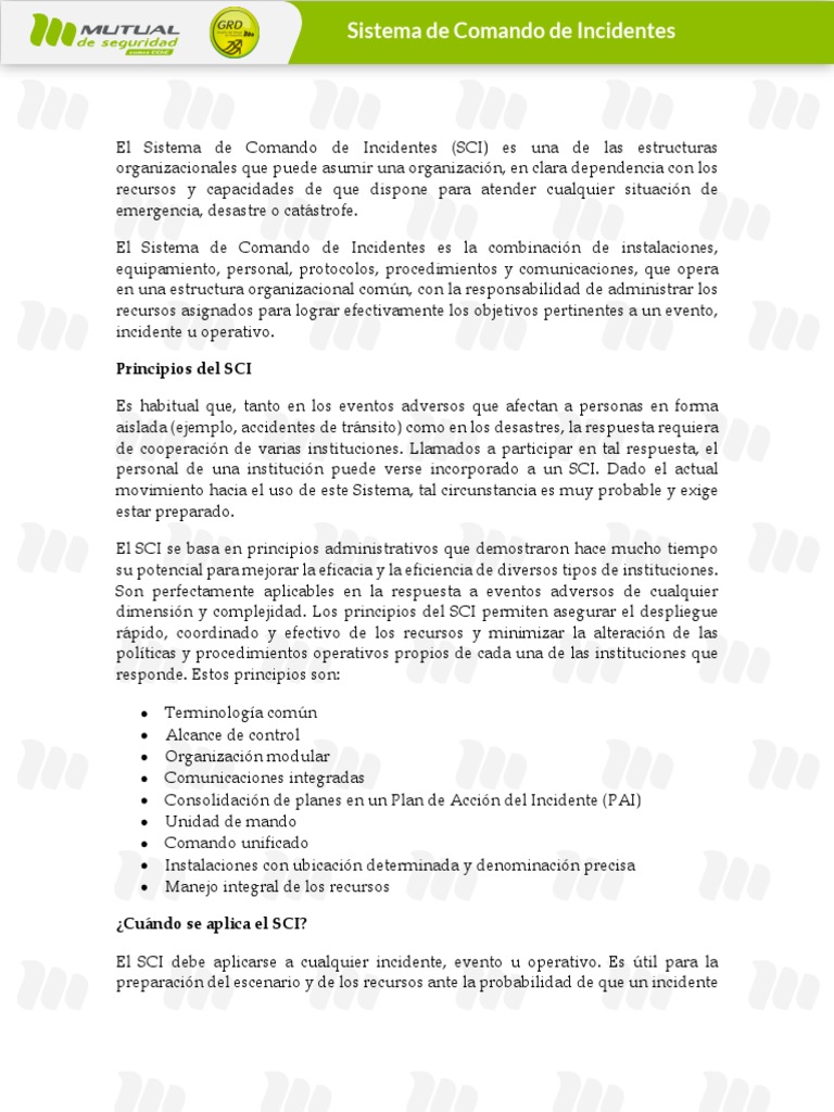 Principios Del SCI | PDF