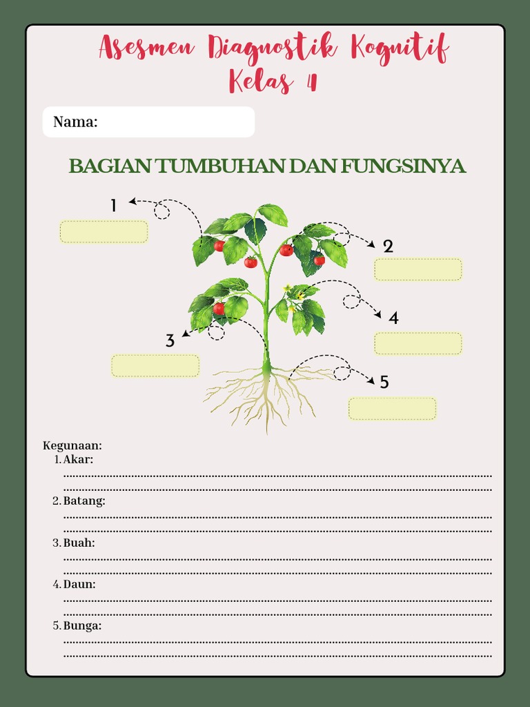 Asesmen Diagnostik Kognitif Kelas 4 | PDF