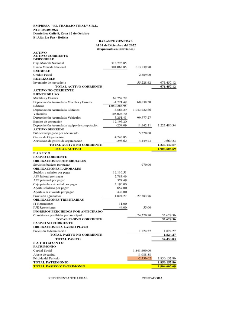 Balance General 2022 de EL TRABAJO FINAL S.R.L. | PDF | Activo fijo ...