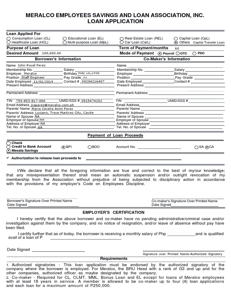 New MESALA Application Form - Editable | PDF | Loans | Business