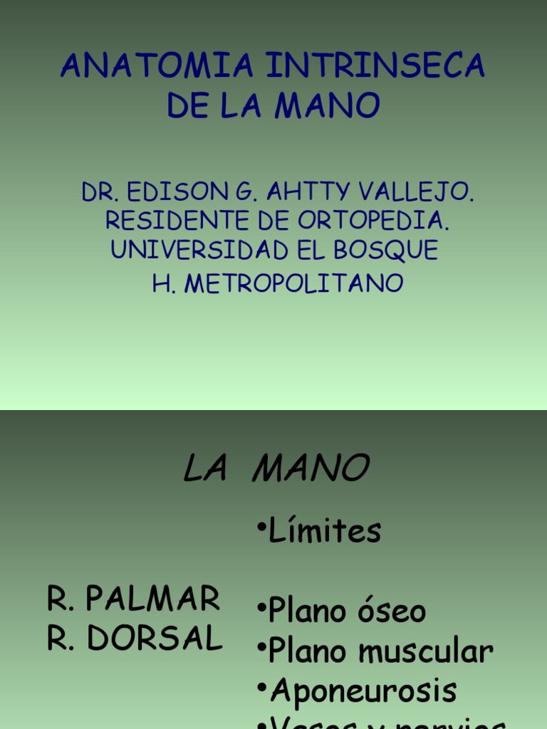 Anatomia De La Mano Pdf