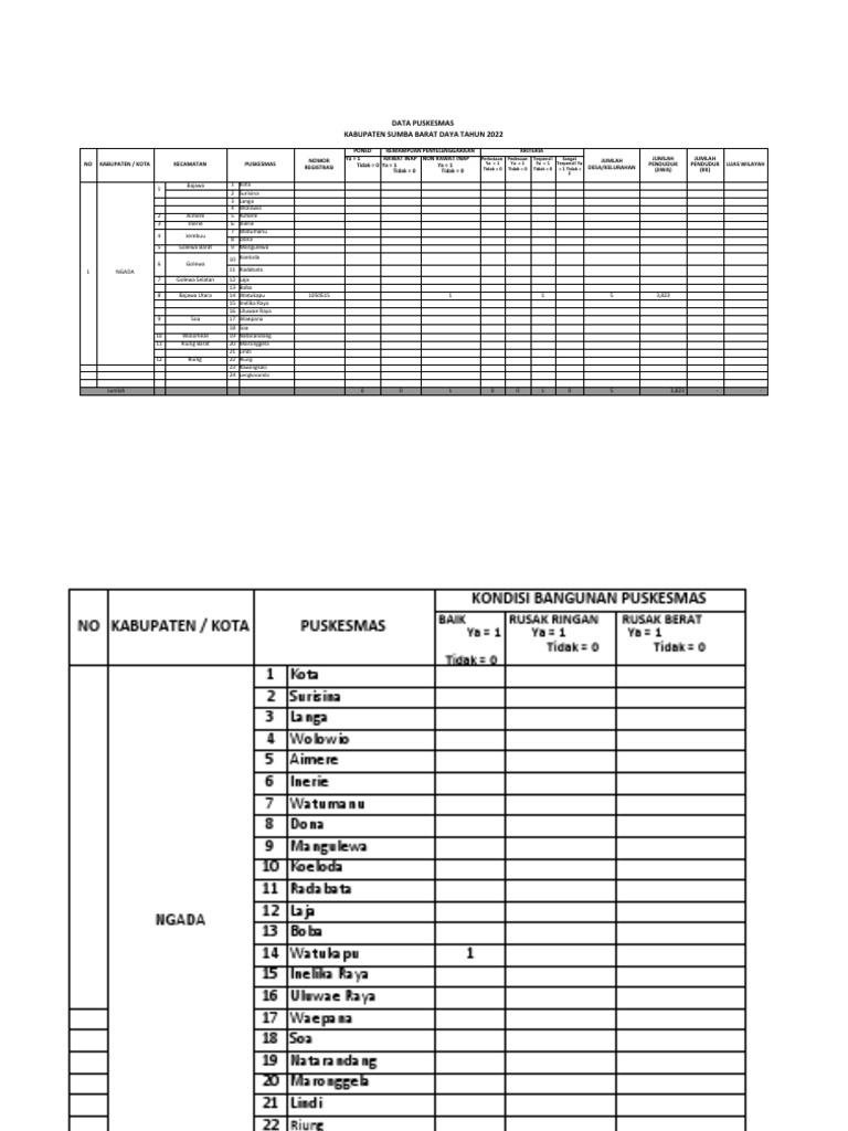 Data Dasar Puskesmas Watukapu | PDF