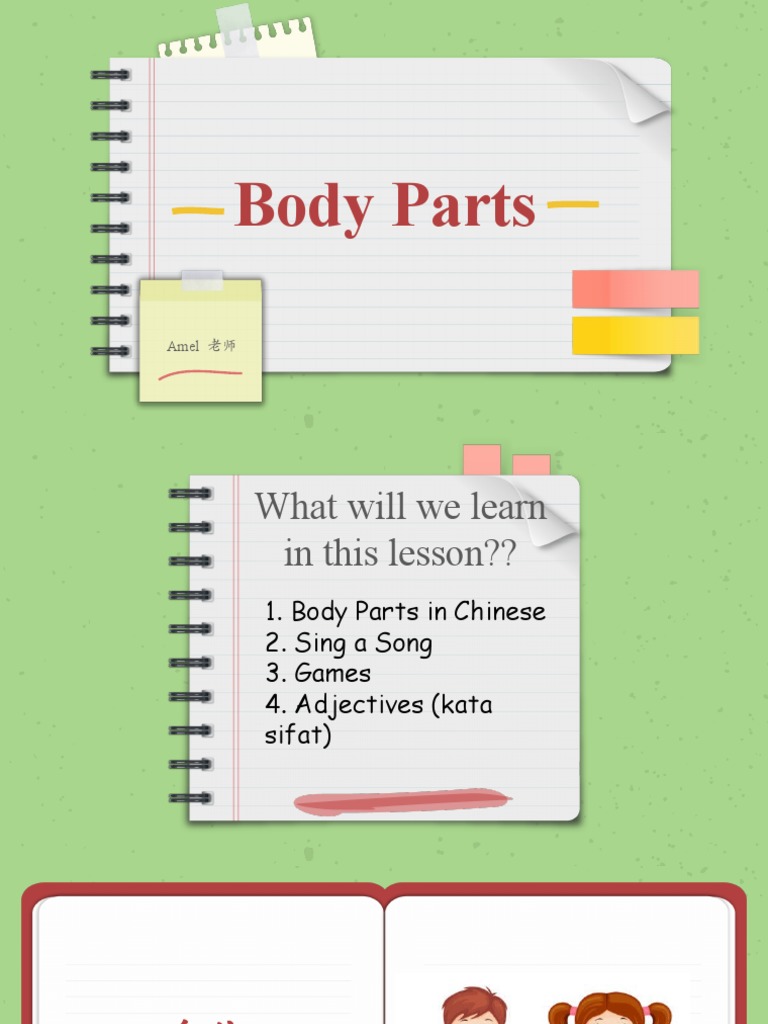 Chinese Body Parts for Kids | PDF