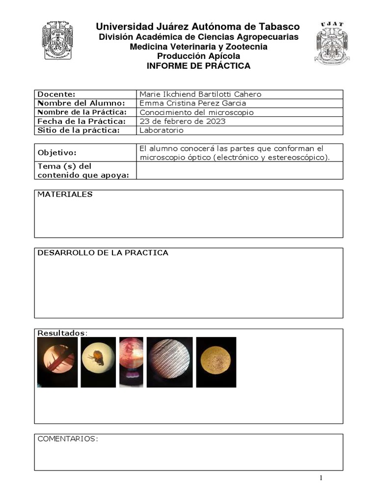 1 FORMATO Informe de Practica | PDF | Laboratorios | Science