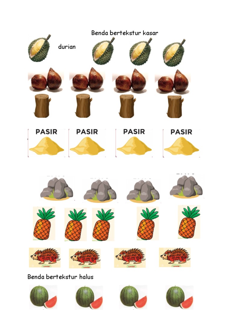 Gambar Benda Halus & Kasar | PDF