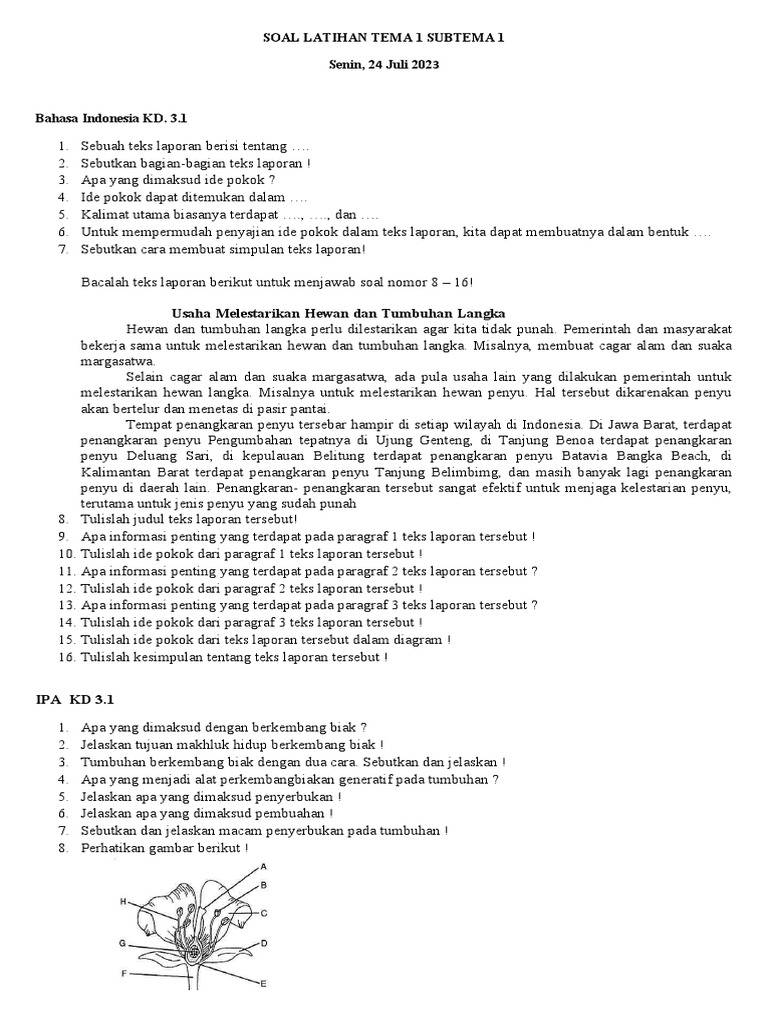 Soal Latihan Tema 1 Subtema 1 | PDF | Seni & Disiplin Bahasa