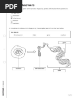 Year 7 Plant Cell Worksheet | PDF