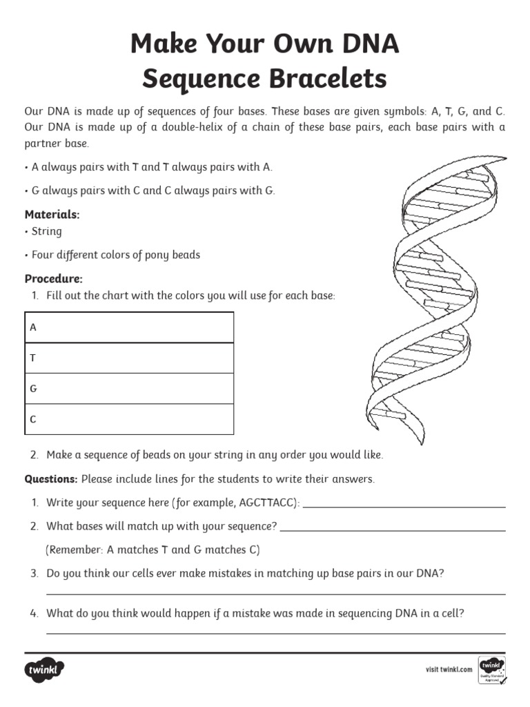 Us2 S 143 Make Your Own Dna Sequence Bracelets Activity English | PDF
