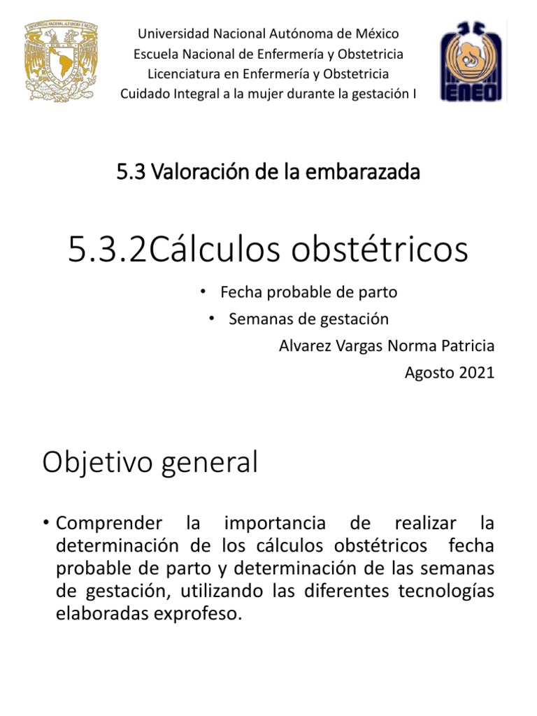 Clase Cálculos Obstétricos Norma Patricia Alvarez Vargas | PDF | El ...