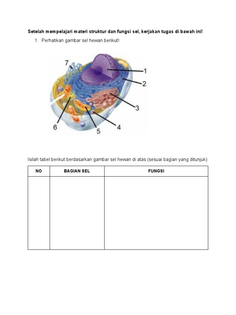 LKPD Struktur Dan Fungsi Sel | PDF
