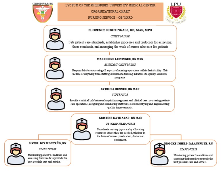 Organizational Chart | PDF | Nursing | Hospital
