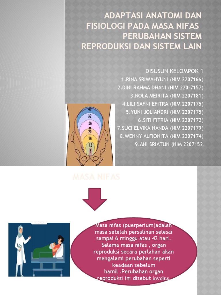 Adaptasi Anatomi Dan Fisiologi Pada Masa Nifas | PDF