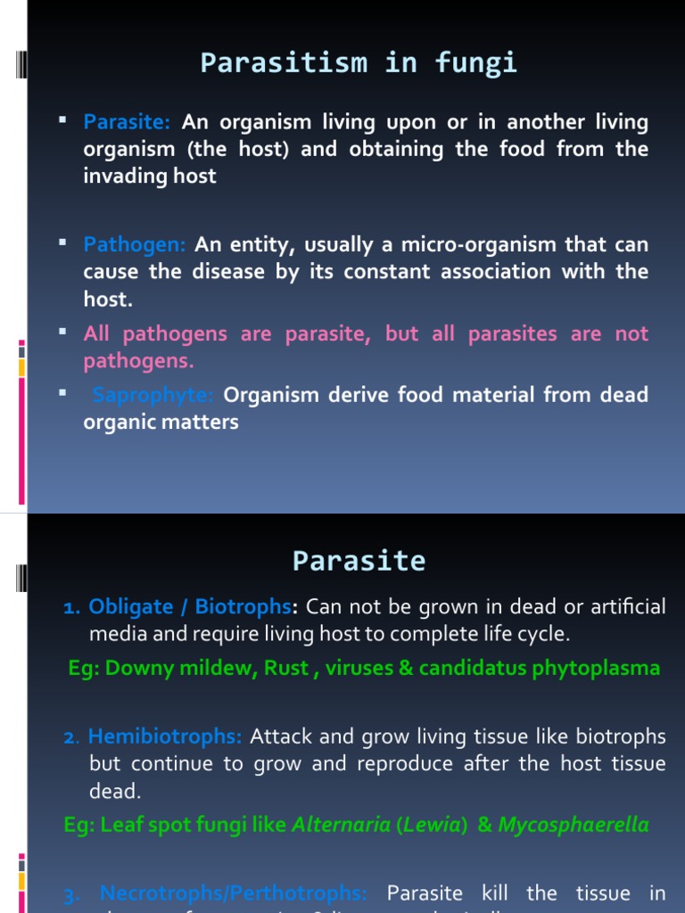 PAT 201 Calss 4 | PDF
