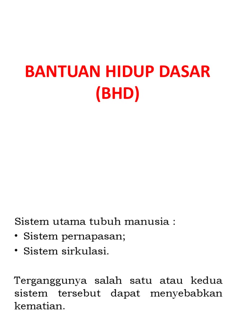 Basarnas BHD Dan RJP | PDF