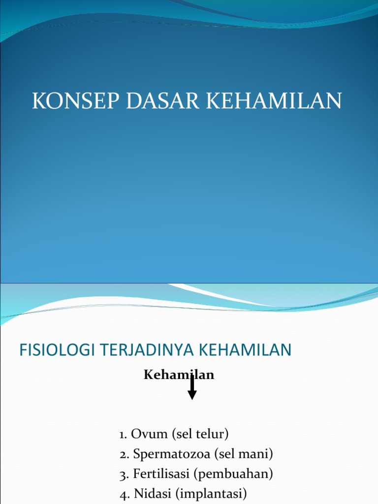 Konsep Dasar Kehamilan | PDF