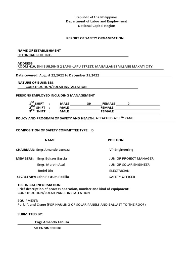 SMSR-SAFETY COMMITTEE | PDF
